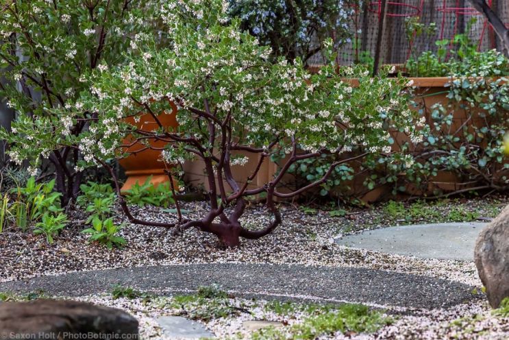 January 2026 Newsletter: January 2026 The New Year Is Here – Summer-Dry ...